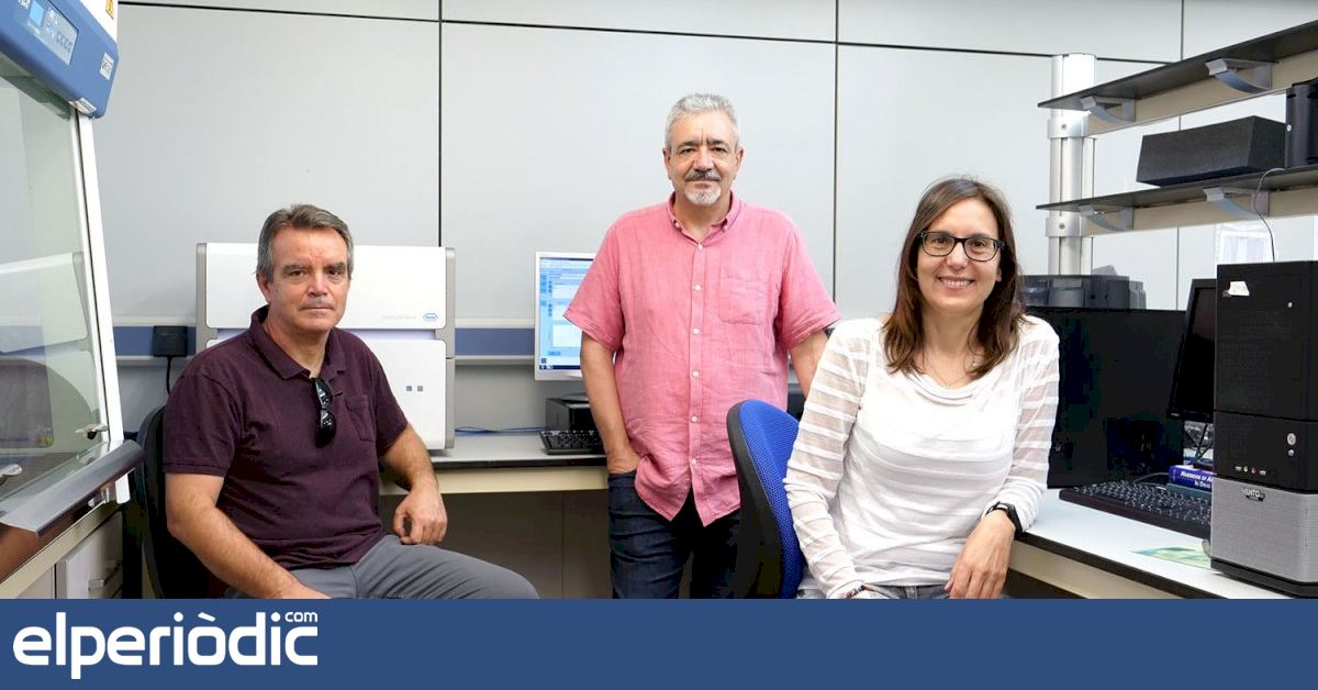 La Universitat y la empresa Seqplexing aplicarán kits de detección rápida de mutaciones ...