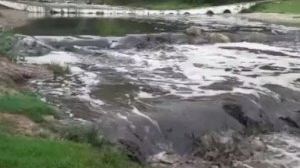 VIDEO | Las consecuencias del incendio de Bejís: El río Palancia se ...